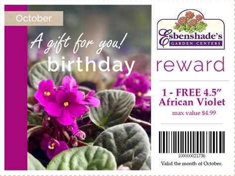 Birthday Coupon October