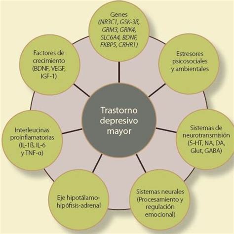 Uso Y Efectos Secundarios De La Furosemida Qué Es Y Cómo Tomarla