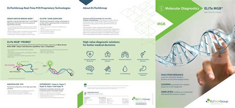 Pdf Real Time Pcr Assays Dokumentips