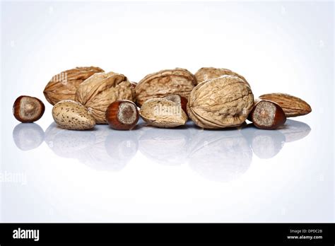 Nuts In Shell Stock Photo Alamy