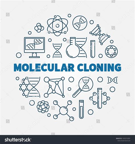 Molecular Cloning Vector Concept
