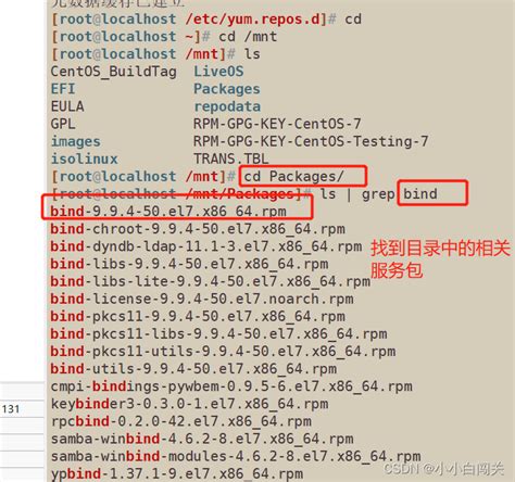 Linux Dns域名解析服务 Linux Dns Named Rfc1912 Zoes配置说明 Csdn博客