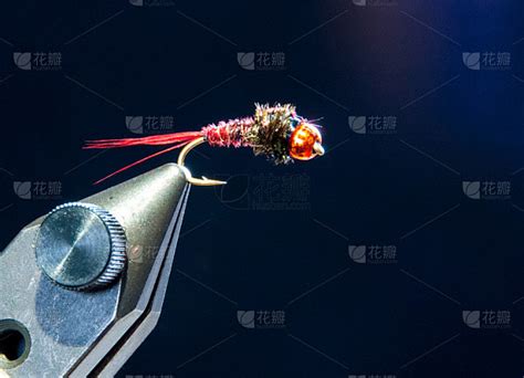 授人以渔 授人以渔