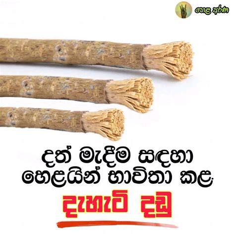 Sawbhagaya දන්ත සෞඛ්‍යය රැකදෙන හෙළයින් භාවිතා කළ දේශීය දැහැටි දඬු දත් බෙහෙත් සහ මුඛ ශෝධක ද්