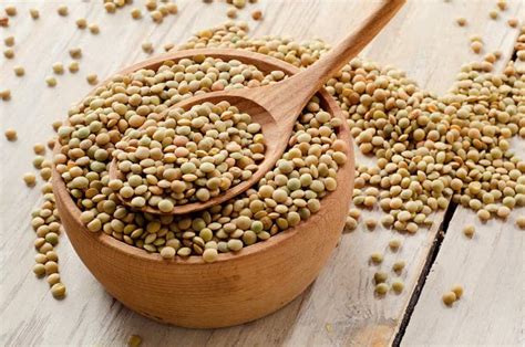 عدس کانادایی اصفهان؛ سبز نارنجی 2 مدل فله ای بسته ای Calcium آراد برندینگ