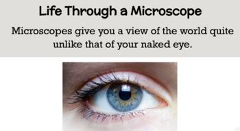 Microscope Basics Life Though A Microscope By Science With Cindy