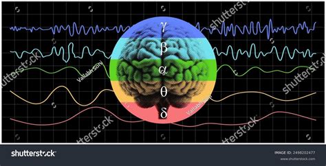 Different Kinds Waveforms Produced By Brain Stock Vector Royalty Free 2498202477 Shutterstock