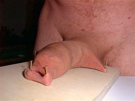 Nailing My Cock To Board 10 Pics Xhamster