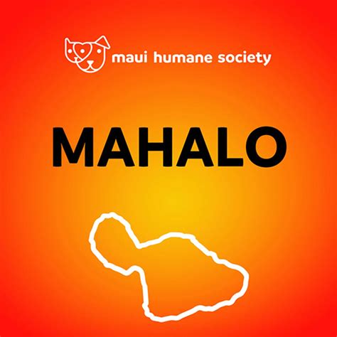 Maui Humane Society Shares Several Ways People Can Help Animals During