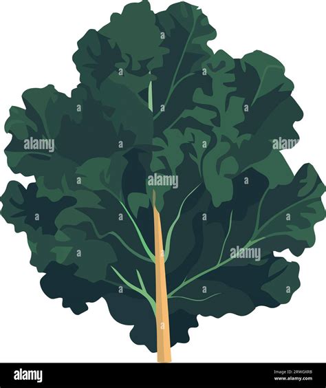Green Tree Design Illustration Stock Vector Image And Art Alamy