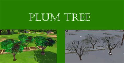 Plum Harvestable Sims 4 Cuisine And Food Mods Explore Delicious