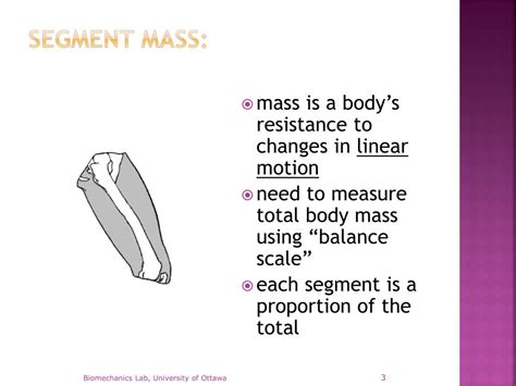 Ppt Body Segment Parameters Powerpoint Presentation Free Download