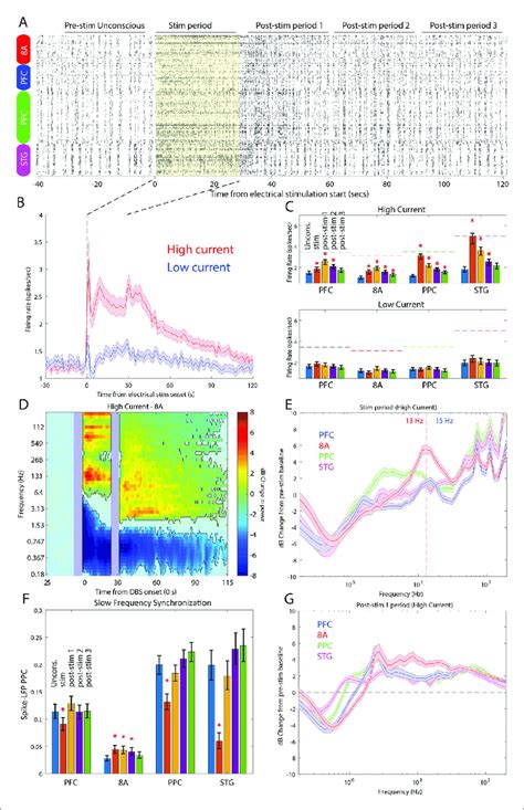 effects of thalamic electrical stimulation on cortical state a an