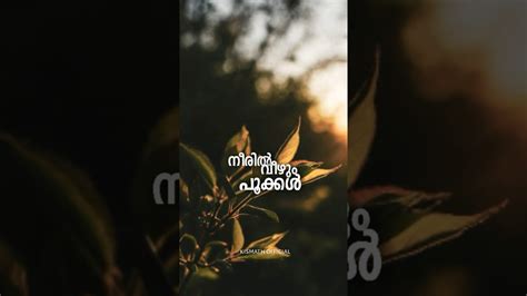 Premikkumbol Neeyum Njanum Lyric Statuswhatsapp Status Kismath