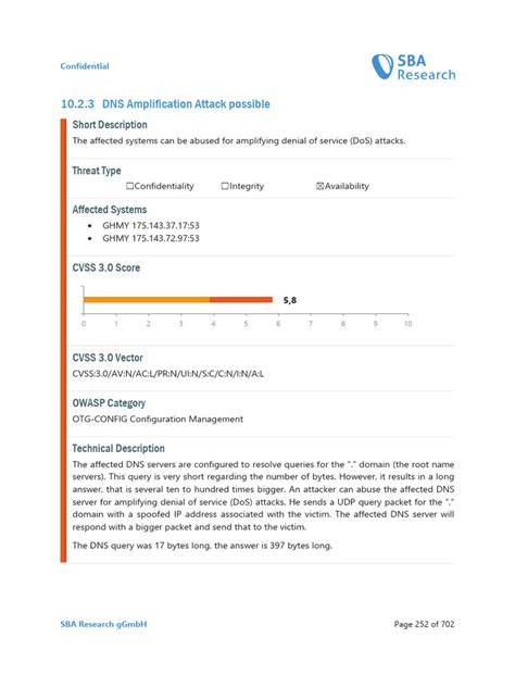 Mikrotik Issue Details Pdf Domain Name System Denial Of Service