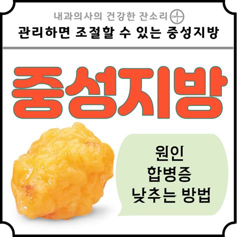 중성지방 수치 높다는 것은 중성지방 낮추는 방법 네이버 블로그