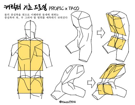 타코작가 On Twitter 몸의 중심축을 면으로 이해하면 동세로 변하는 중심축과 그려야 할 좌 우 범위 예측이 쉬워진다