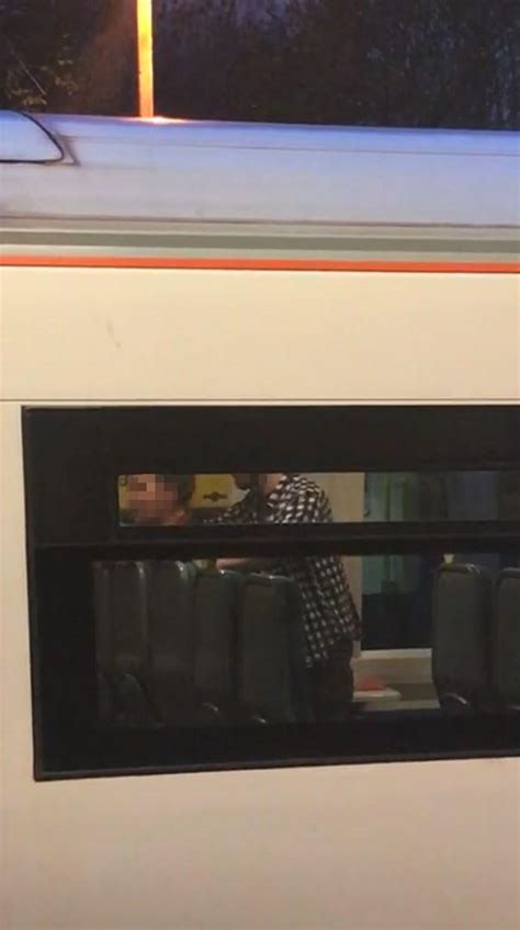 Randy Couple Have Sex On A Stopped Train As Stunned Passenger Watch From Platform The Irish Sun