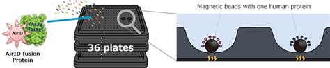 Protein Interaction Assay ｜ Cellfree Sciences