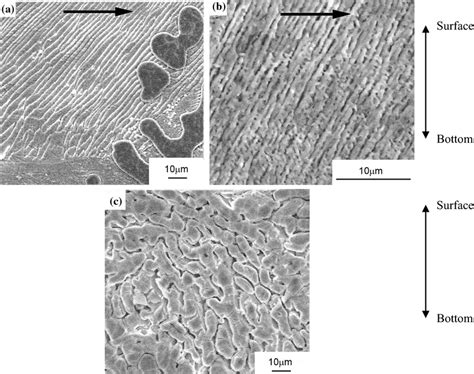 sem micrographs se mode showing the typical microstructures from a b
