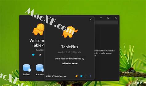 Tableplus 数据库管理工具 Mac Win 哔哩哔哩