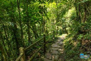Rota das Cachoeiras de Corupá 14 cachoeiras trilha e natureza