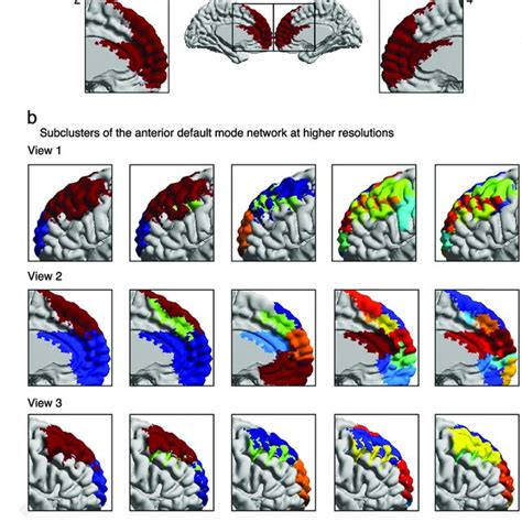 The Decomposition Of The Anterior Default Mode Network Into Smaller