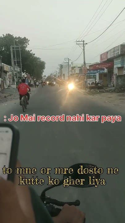 Kutte Ne Pakda Kabootar 😭 Viral Shorts Youtube