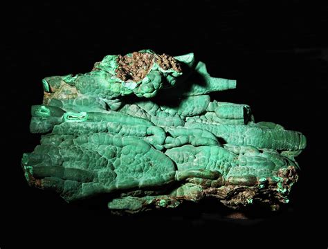Malachite Photograph By Millard H Sharp Fine Art America