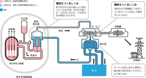 原子炉のしくみ｜原子力発電の概要｜原子力発電について｜エネルギー｜事業概要｜関西電力