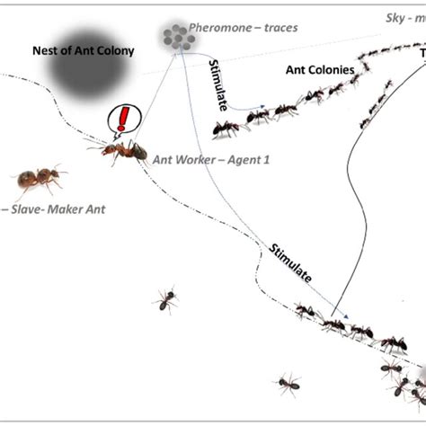 Scenario Ii Analysis Of Ant Colony Stigmergy Download Scientific Diagram