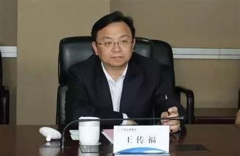 比亚迪老板焕明比亚迪比亚迪副总裁王传方大山谷图库