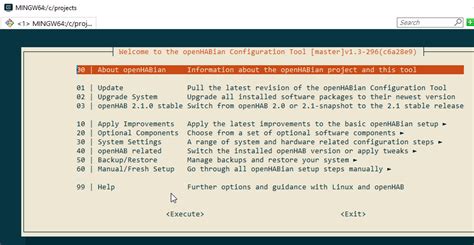 Can T Switch To Openhab Unstable Issue Openhab Openhabian