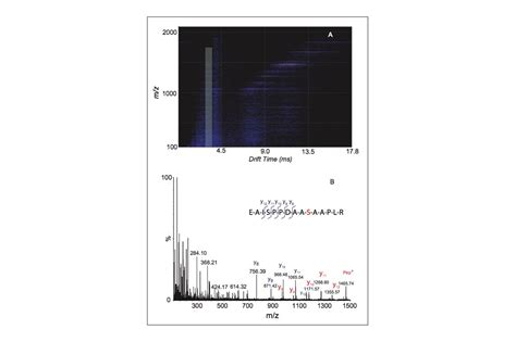 Structural Analysis Of An O Glycopeptide Derived From Recombinant