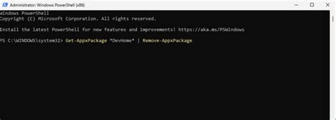 What Is Hotkey For Dev Home Project Ironsides And Should I Remove It