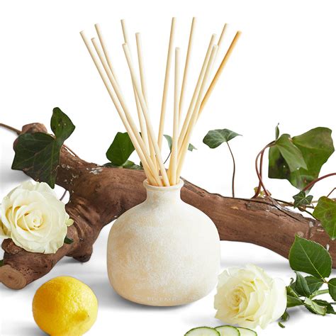 Renew Ceramic Refillable Diffuser Ivy And Rose Blueme