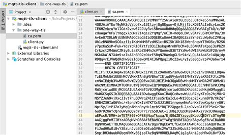 Authenticating Client With Ssltls Certificate Authenticating Client With Ssltls Certificate