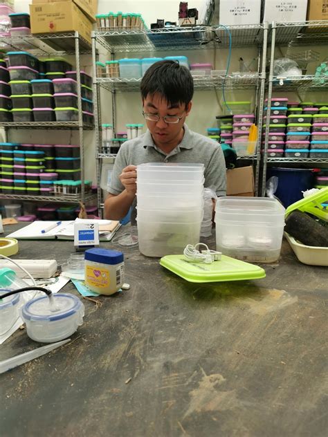 白蟻會海漂 興大研究團隊發現：耐鹽特性可跨島擴散 Ettoday生活新聞 Ettoday新聞雲