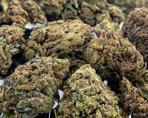 Top Cbd Hemp Flower Strains To Buy This 2020 Suquet Del El Mir All