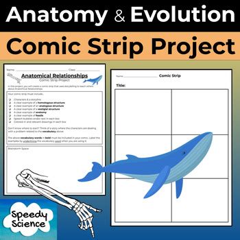 Homologous Analogous Vestigial Structures Comic Strip Project Middle