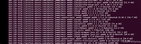 成功解决wsl2上的ubuntu2204执行sudo Apt Get Update指令报错问题wsl无法apt Get Update Csdn博客