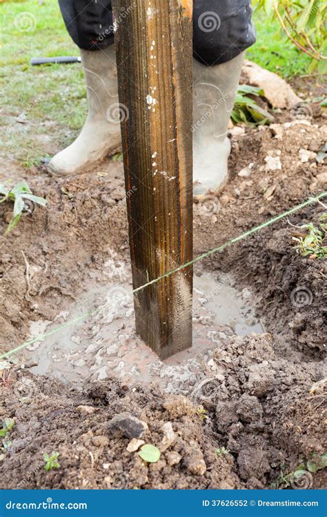 Fitting Fence Post Stock Photo Image Of Level Line