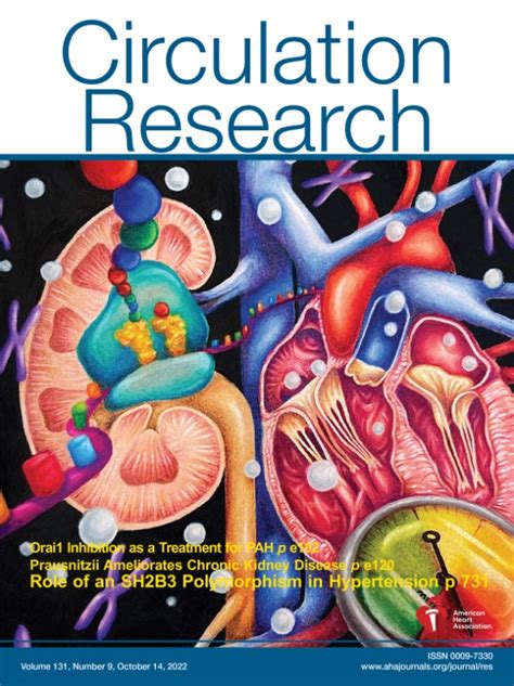 医学部科研人员在《circulation Research》发表封面文章揭示慢性肾脏病的潜在治疗新方法 西安交通大学医学部