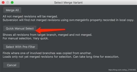Intellij Idea 详细图解 Svn Merge 分支合并主干，主干合并分支，都是merge一个套路 Csdn博客