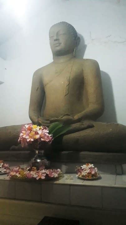 සියලු සත්වයෝ නිදුක් වේවා නීරෝගී වේවා සුවපත් වේවා Youtube