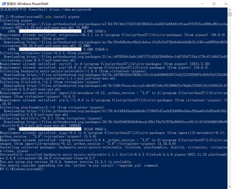 Python Pipenv Tester