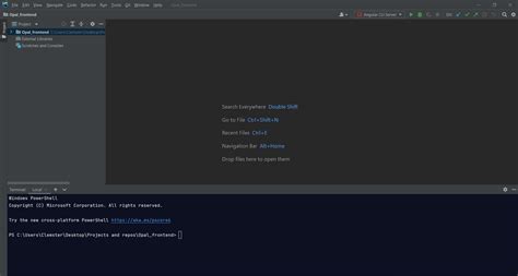 Webstorm Have Terminal Scale To File Directory Ides Support