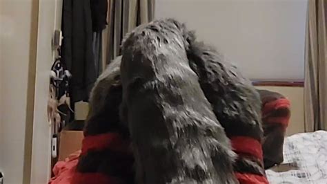 Gassy Furry Fan Page Gassyfurryfan Twitter