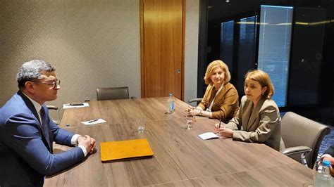 Кулеба вперше зустрівся з новою главою МЗС Румунії Європейська правда