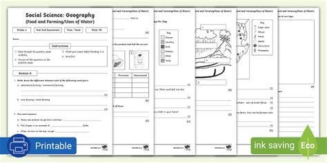 Grade 4 Geography Term 4 Exam Papers Twinkl Za